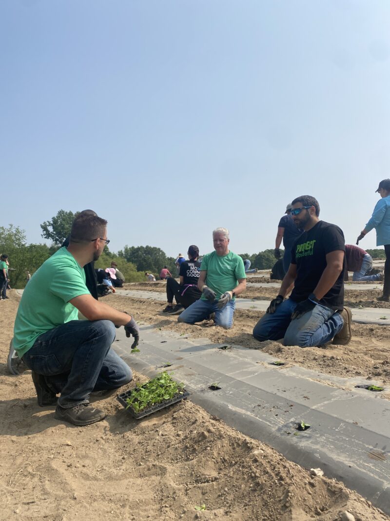 Seed to Feed: Forgotten Harvest’s Newest Way to Give - Forgotten Harvest