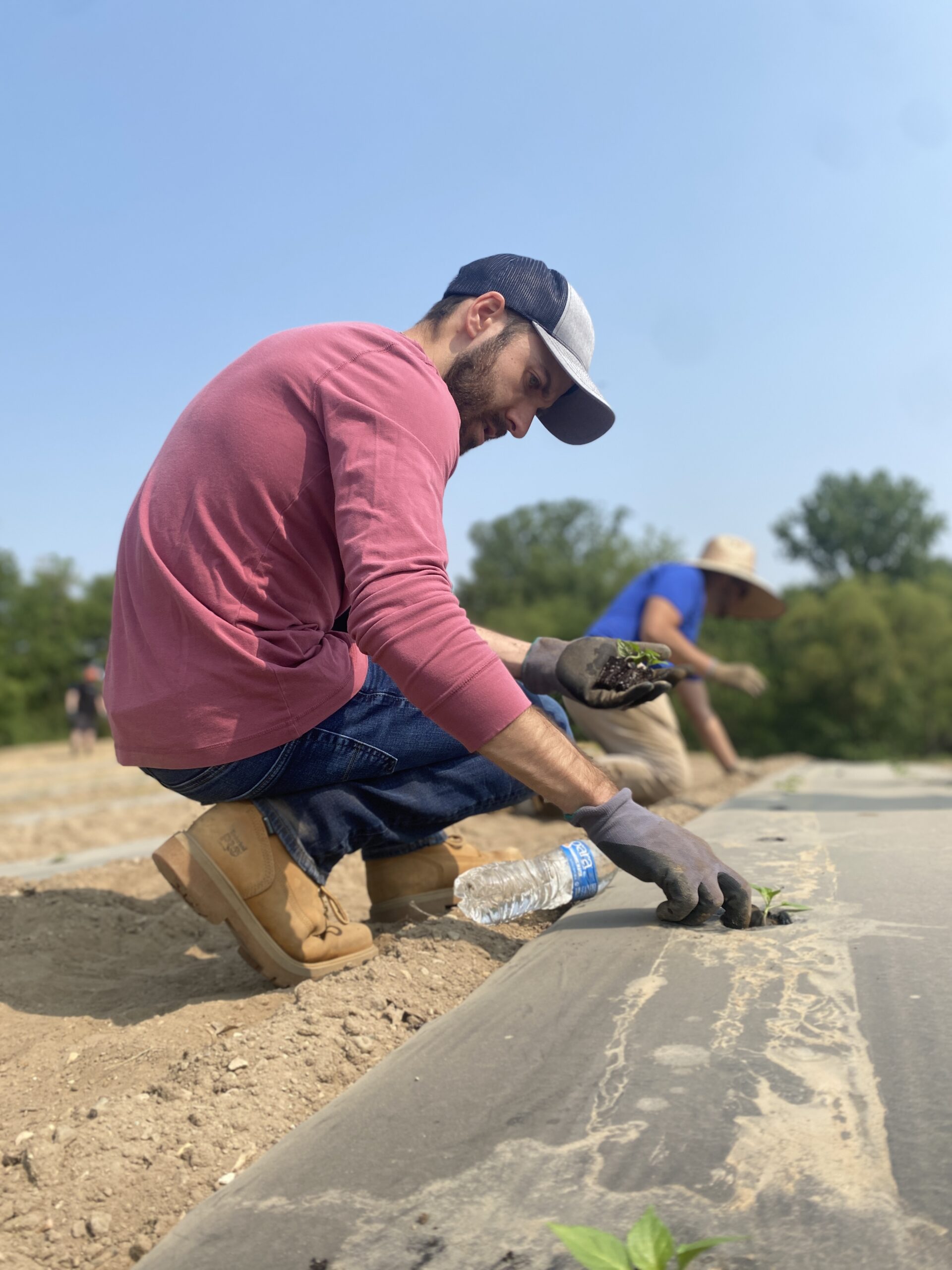 Seed to Feed: Forgotten Harvest’s Newest Way to Give - Forgotten Harvest