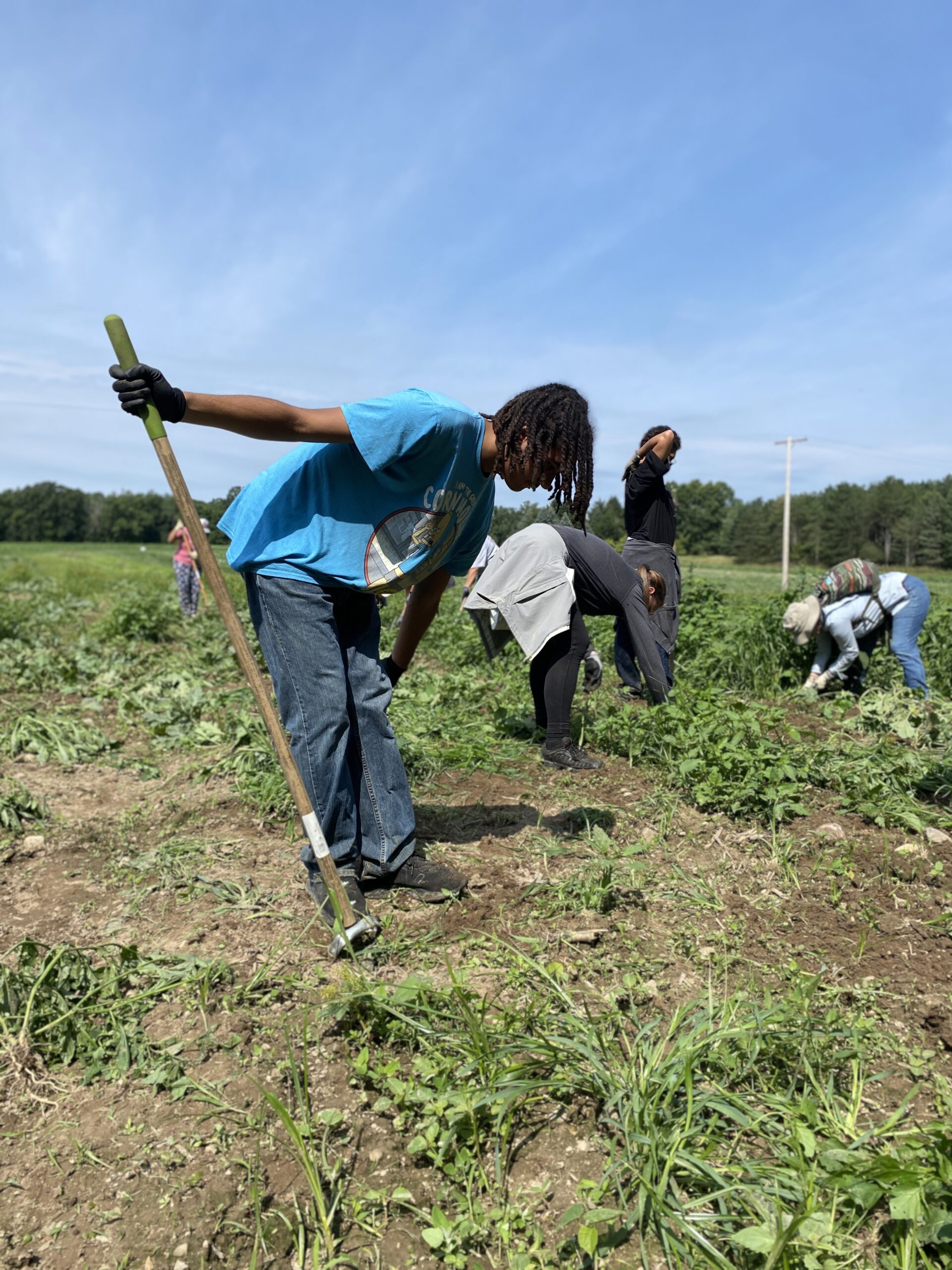 Seed to Feed: Forgotten Harvest’s Newest Way to Give - Forgotten Harvest
